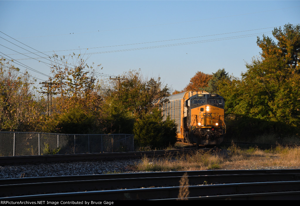 CSX 981